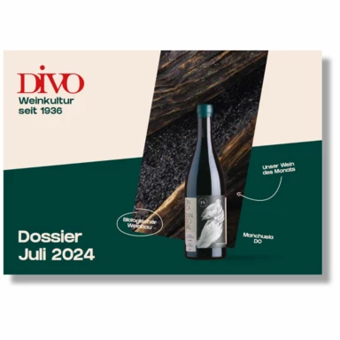 Homepage [www.divo.ch]